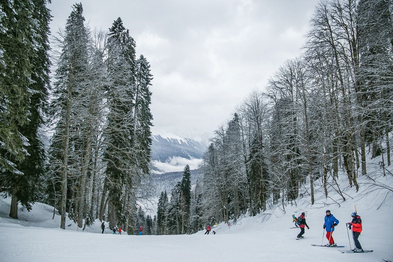 Snowy Winter Resorts for Group Family Vacations and Reunions