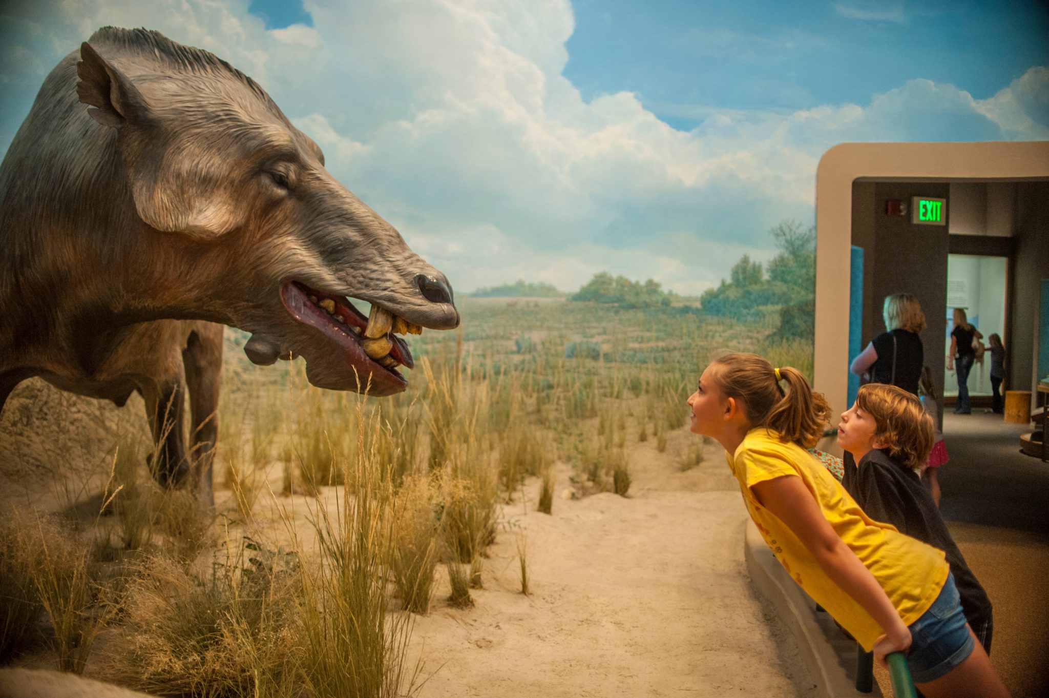 12 Exciting Things To Do With Kids In Denver Colorado